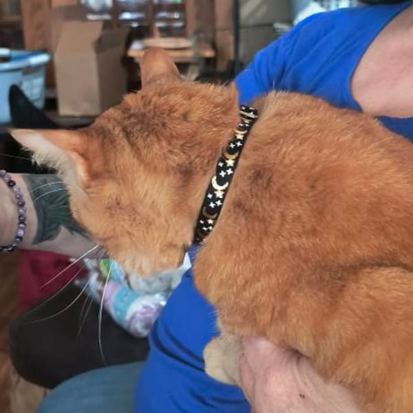 Jigsaw Puzzle Cat Collar - Colorful Autism Awareness Pattern ...