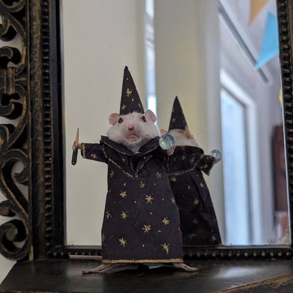 Taxidermy Rabbit Tale Pocket Watch Rodent Taxidermy Rabbit Curiosity ...