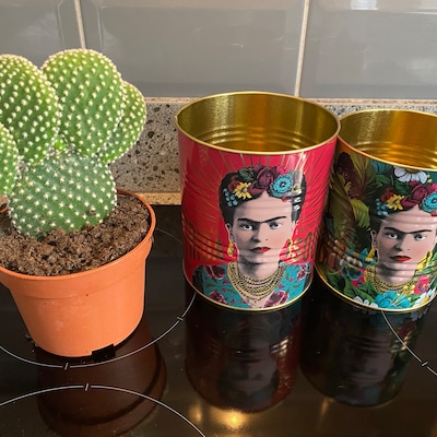 Retro Mexican/spanish Tins Chilli & Paprika Tin Can Planter, Kitchen ...