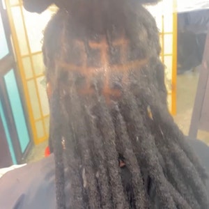 100% Human Hair Dreadlocks Extensions. Natural Dreadlock Extensions. - Etsy