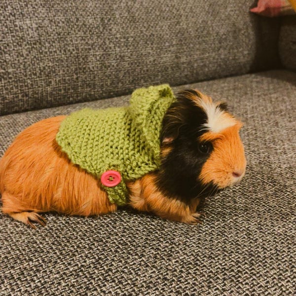 DIGITAL DOWNLOAD PDF Guinea Pig Crochet Pattern Decorative Diaper Style ...