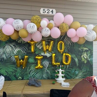 2000s Party Decorations, 2000s Party Decor, Back to the 2000s Balloon ...