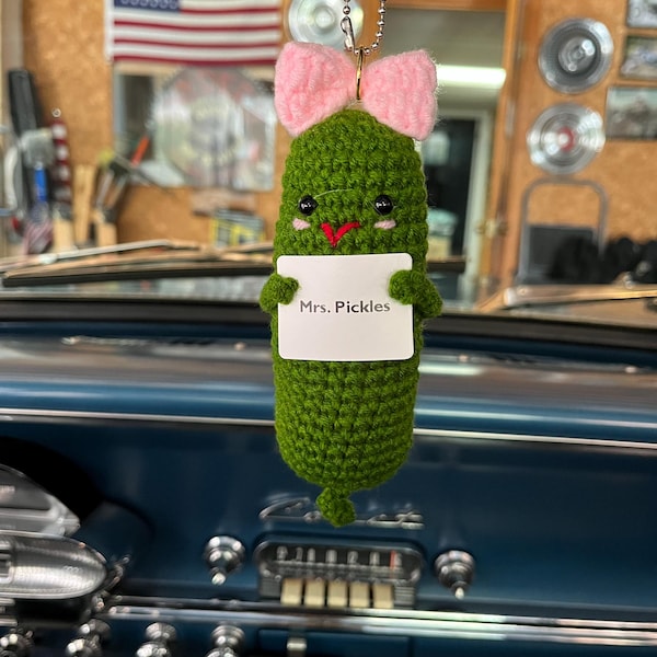 Handmade Crochet Pickles,emotional Support Pickle,positive Pickle,big ...