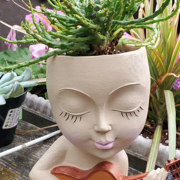 Dancing Bones Cactus | 2 Inch | Rhipsalis Salicornioides | Live ...