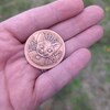 Pet the Cat / Flip Again Copper Decision Maker Coin - Etsy