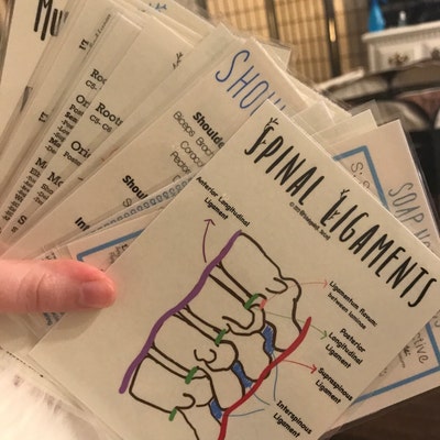 Neurological Exam Cheat Sheet for PT Students Myotomes, Cranial Nerves ...