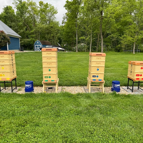 Monarch Butterfly Raising Kit- Butterfly Raising Kit, Milkweed Floral ...