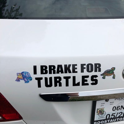 Rainbow Squid Vinyl Stickers/decals: Bigfin Reef Bobtail - Etsy