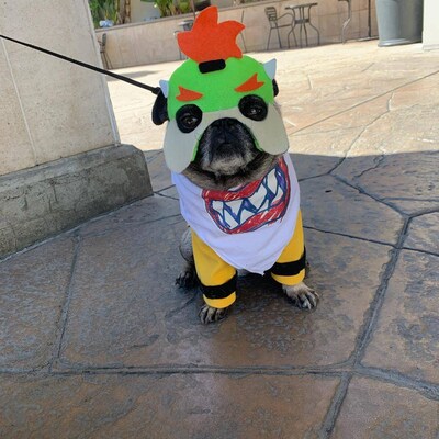 Bowser Jr. Classic Bib/mask - Etsy