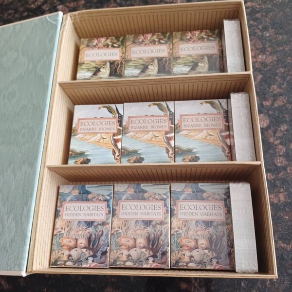 Drylands Board Game - Two Player Abstract Game Set in Africa ...