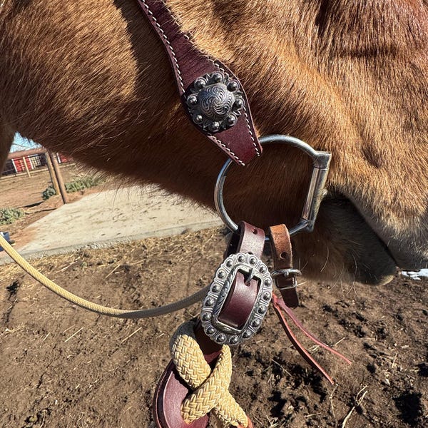 Yacht Rope Sport Mecate Reins W Poppers! Use With Slobber Straps ...