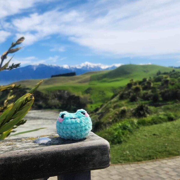 Blob Frog Crochet Pattern | PDF - Etsy Canada