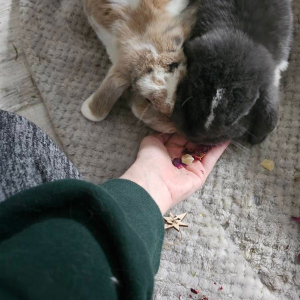 Straw Hay Wreath Ring Chew for Bunnies and Guinea Pigs | Natural Hay ...