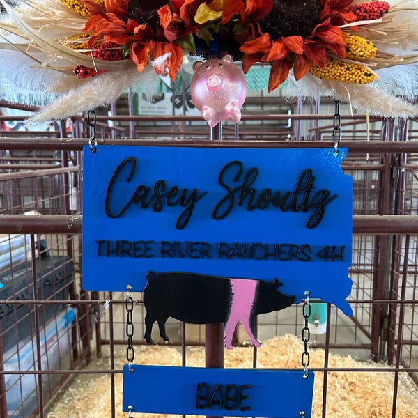 Custom State Shaped FFA Pig Stall Sign: Birch Wood Animal Name Tag, FFA ...