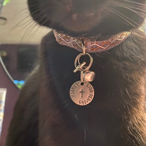 Star Cat Collar White Stars on Pink Small Cat / Kitten | Etsy