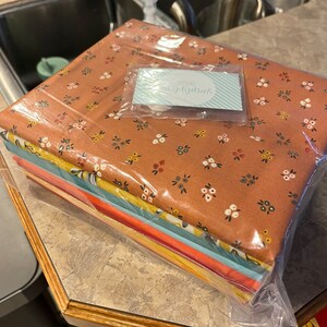 Door Banner Kit of the Month by Riley Blake Designers Monthly Kits in ...