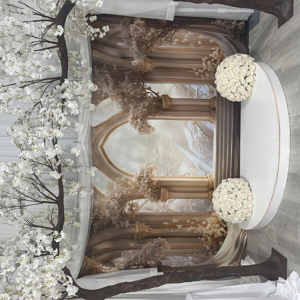 White Marble Room With Pillars Digital Backdrop, Photo Shoot Marble ...
