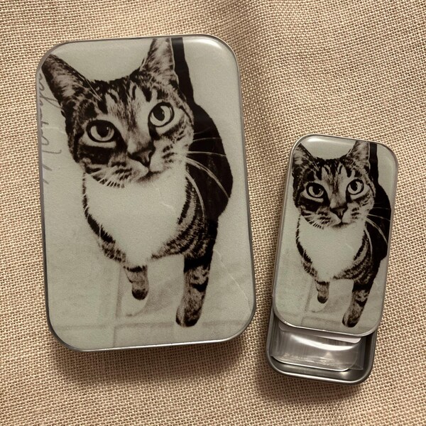 Cat Knitting Notions Tin SMALL, Pill Box (026) - Etsy