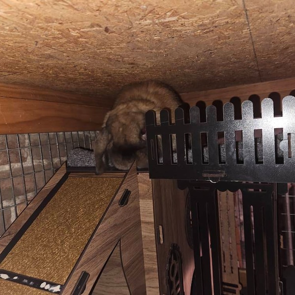 Bunny Villa With Two Rooms and Four Living Spaces, Four Compartment ...