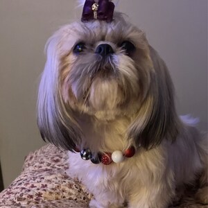 Flamingo Floaty Pool Party Beaded Dog Collar Collar Dog - Etsy