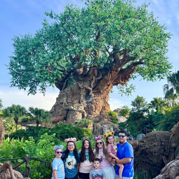 Disneyland Comfort Colors® shirt Retro Disneyland Shirt Magical Kingdom ...