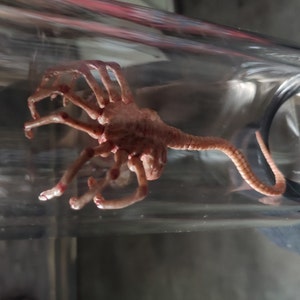 1:6 Scale Alien Egg Facehugger Embryo Xenomorph Egg 1/6 Scale - Etsy