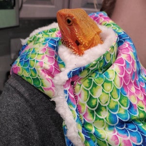 Bearded Dragon Carrier With Black Strap Variations - Etsy