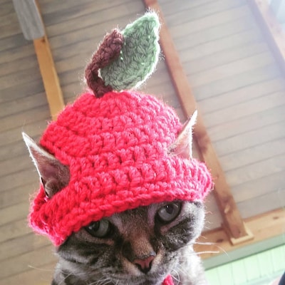 Apple Hat for Cats - Etsy