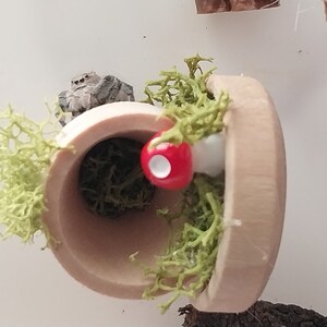 Mini Beach Scene in Clam Shell Mini Ocean Scene Sea Turtle - Etsy