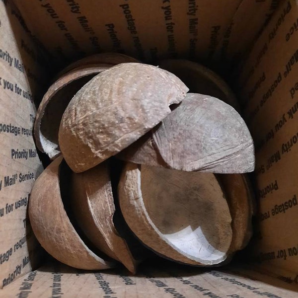 Coconut Shell Half - Etsy