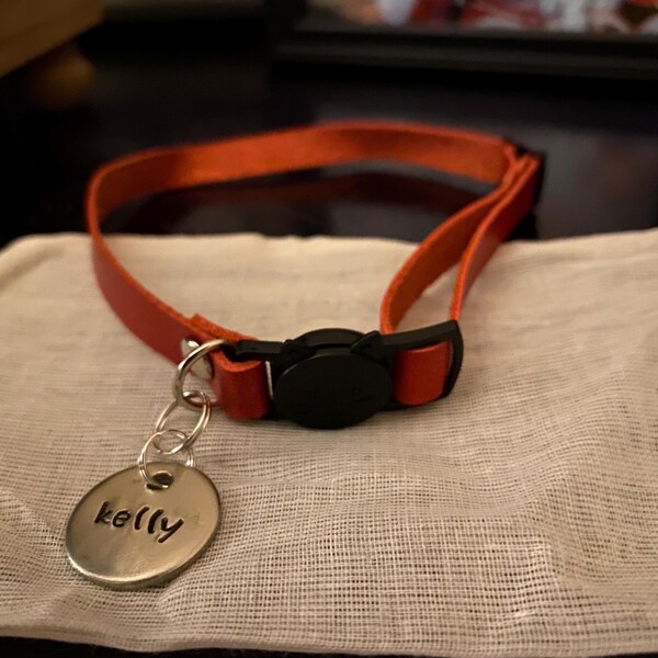 Cat Tag, Cat ID Tag, Small Pet Tag, Cat Name Tag, Microchipped Tag ...