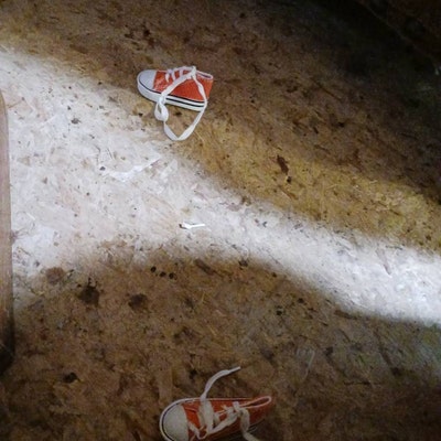 Ferret Emergency Chart and Health Medical Kit List Laminated Quick ...