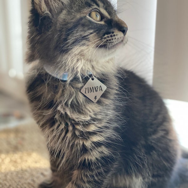 Cat Collar With Bell - Kitten Collar - Adjustable Breakaway Collar ...