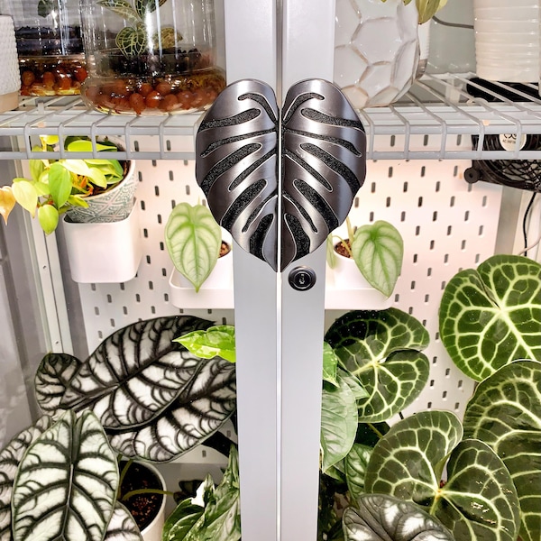 Monstera Leaf Brass Knobs and Pulls/turtle Leaf Drawer Handles/custom Engraved Cabinet Pulls ...