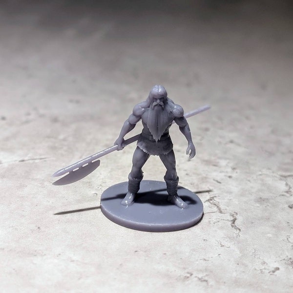 Dwarf Fighter (hammer + Shield) 28mm, D&D, Pathfinder, Mz4250 - Etsy
