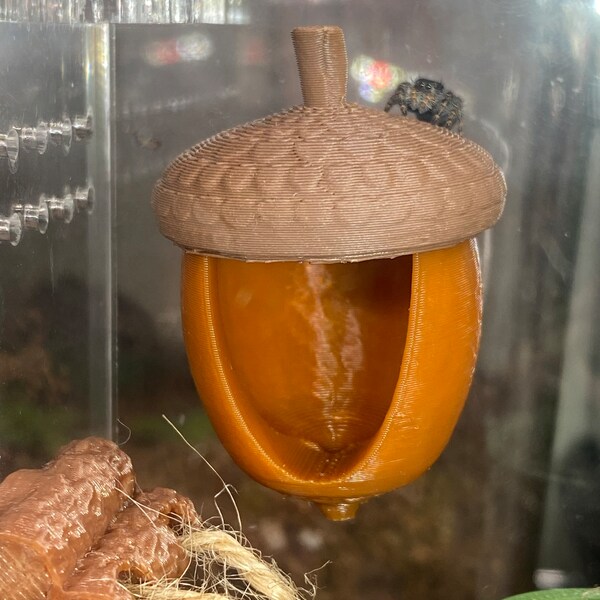 3D Printed Magnetic Acorn Spider Hide- Upgraded Sling Acorn Magnets! - Etsy