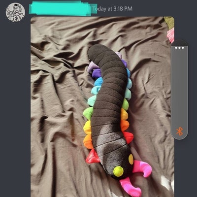 Rainbow Centipede Plush, Centipede Toy, Plush Bug, Plush Insect ...