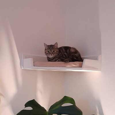 Wall Mounted Wood Cat Feeder Shelves, Cat Feeding Shelf With 2 Bowls ...