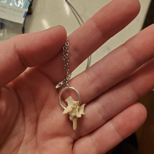 Silver Single Snake Vertebrae Bone Necklace, Real Bone Necklace ...