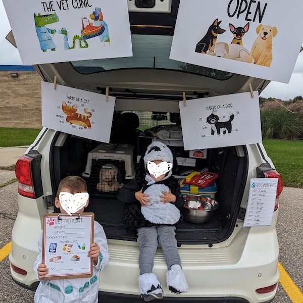 Vet Clinic Dramatic Play, Pretend Play, Classroom Dramatic Play, Home ...