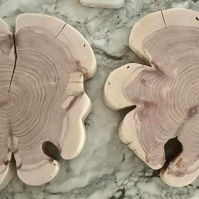 Red Cedar Wood Slices, Cedar Wood Round, You Pick Slice, 1.5 Thick ...