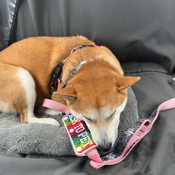 Personalized Holographic, Glitter, Shinny Leash Wraps, Custom Leash ...