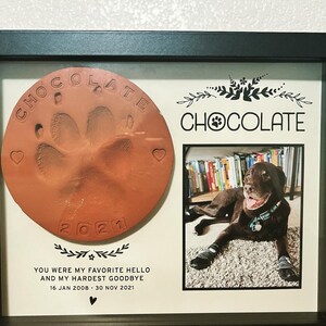 Pet Memorial Paw Print Holder Shadow Box Two Paw Prints Pet - Etsy