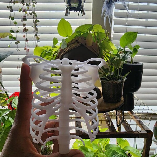 Houseplant Trellis|skeleton|rib Cage|plant Art|indoor Garden Decor|for ...