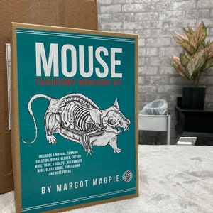 DIY Mouse Taxidermy Craft Kit Inc. Manual and Full Tool Kit for ...