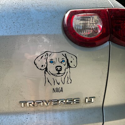 Pet Welcome Sign/ Pet Door Sign/ Dog Door Sign/pet Portrait Wreath/ Dog ...