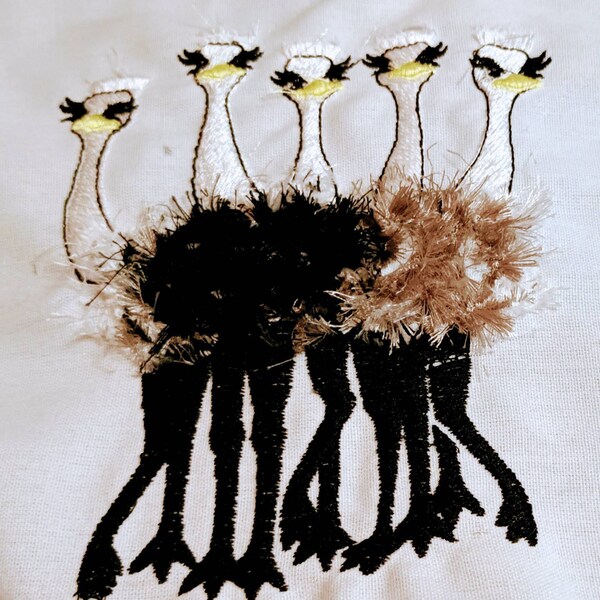 Fringed Fluffy Flock of 5 Ostriches Group of Ostriches Machine ...