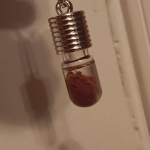 My Heart is Yours Pendant Real Rat Heart in a Glass Vial Oddity in a ...