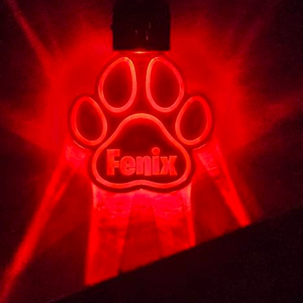 Human Pup Necklace - Light up Dog Tag - Color Changing - Stocking ...