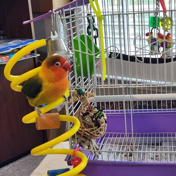 Double-decker Adventure Tunnel Safe Hut, Sleep Tunnel or Birdie Tent ...